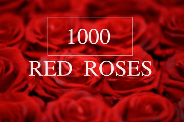 1000 Red Roses
